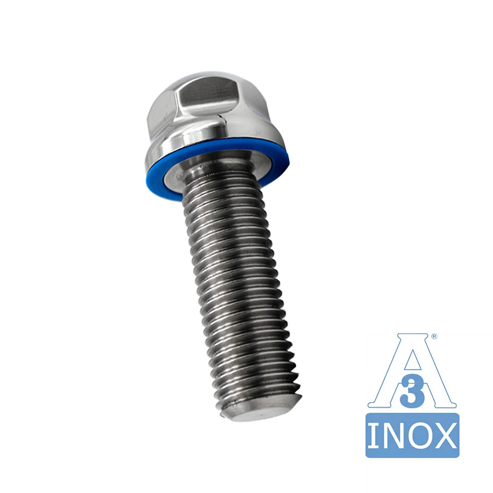 Hexagonal bolt stainless steel - domed head - hygiene 3A - verpas